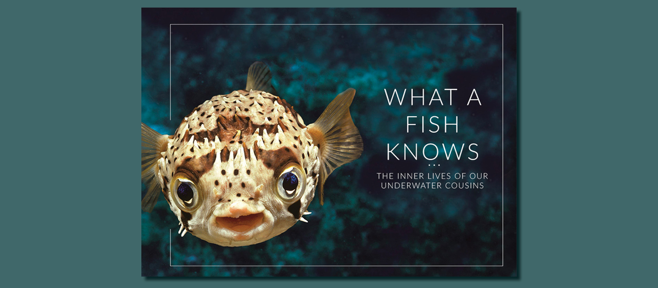 Columbia Club of New York